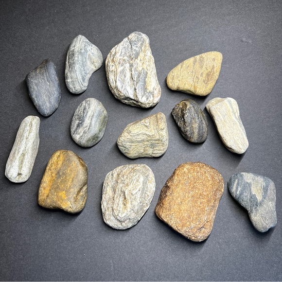 Other | Petrified Wood Fossils 13 Pieces Various 23 Washington State ...